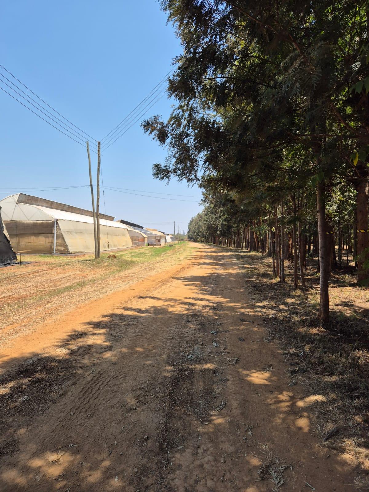 Unieke ervaring voor student mbo-opleiding Plantenteelt: stage in Kenia ...